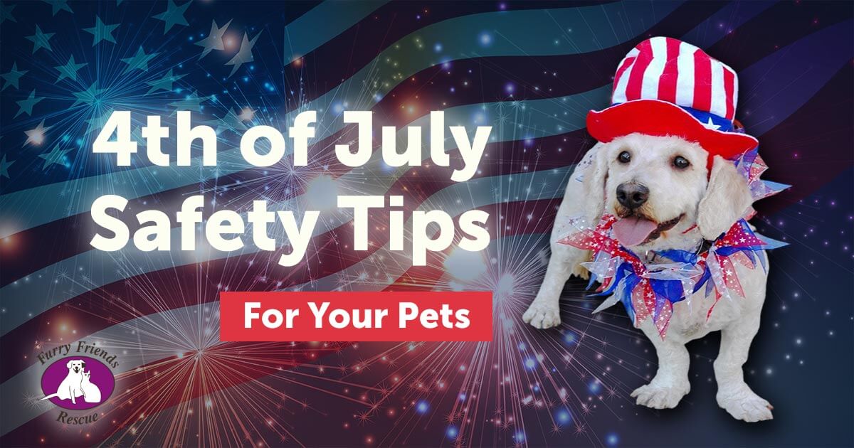 4th of July Safety Tips for Your Pets - Furry Friends Rescue Blog